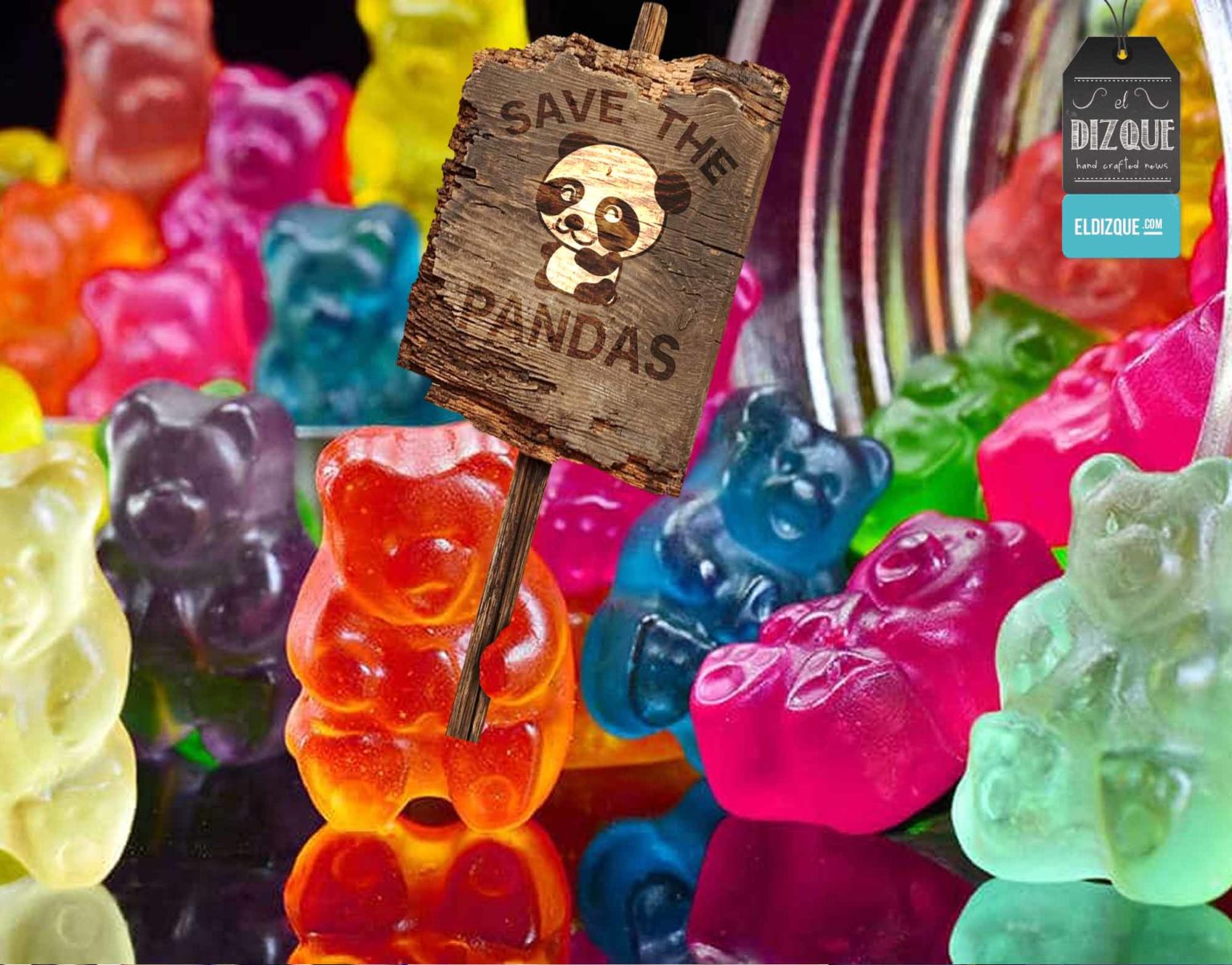 Los panditas son declarados como especie protegida - El Dizque